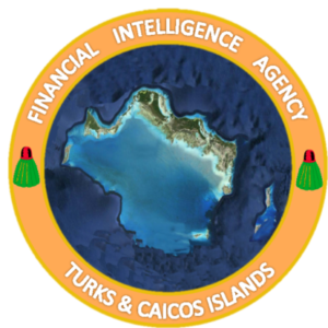 Organizational Structure - Financial Intelligence Agency (FIA)